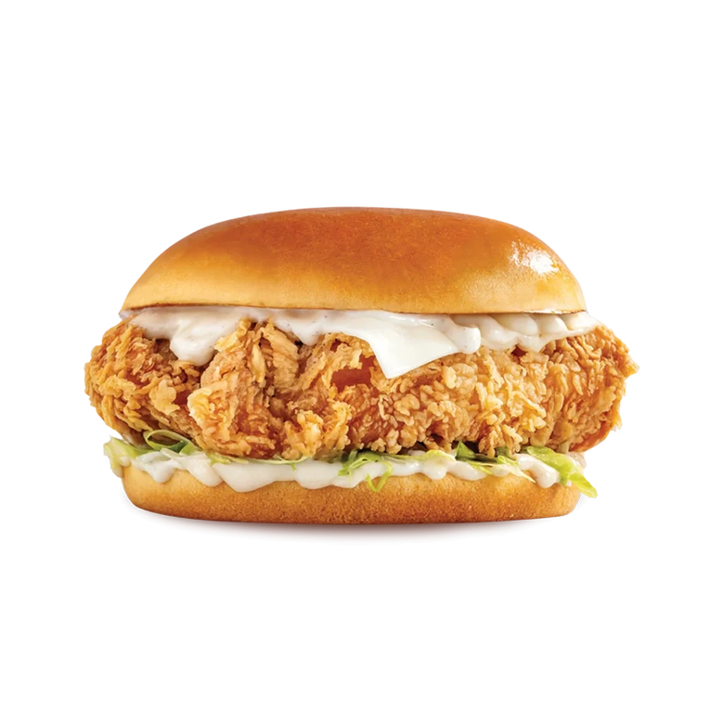 Burgerizz - بيرغرايز - بيشهّي | علامة أردنية و بفخر 🇯🇴